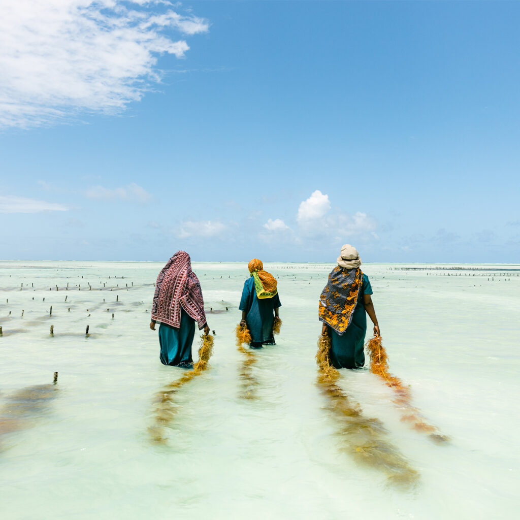 Welcome to Africa-ONE Voice – The Climate-Development Nexus Edition! - ONE.org Africa